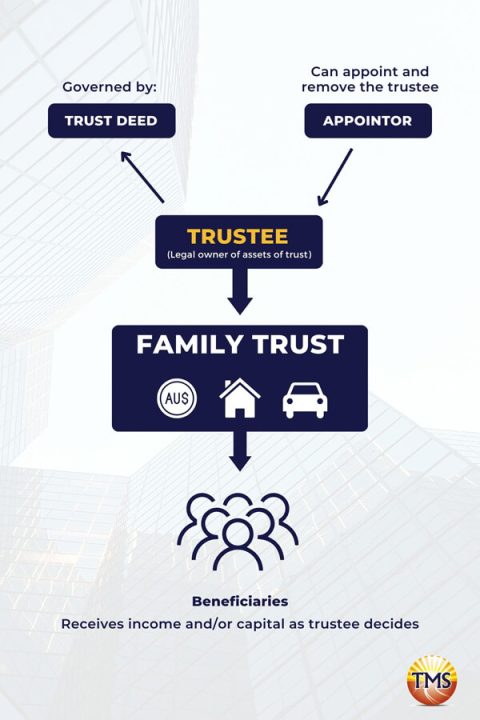 Trust vs Company - Which Structure is Right for You?