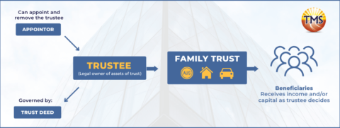 Trust vs Company - Which Structure is Right for You?