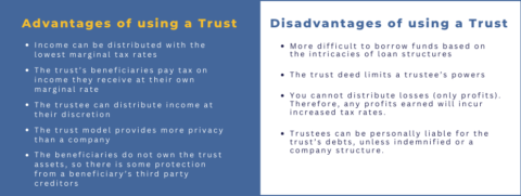 Trust vs Company - Which Structure is Right for You?